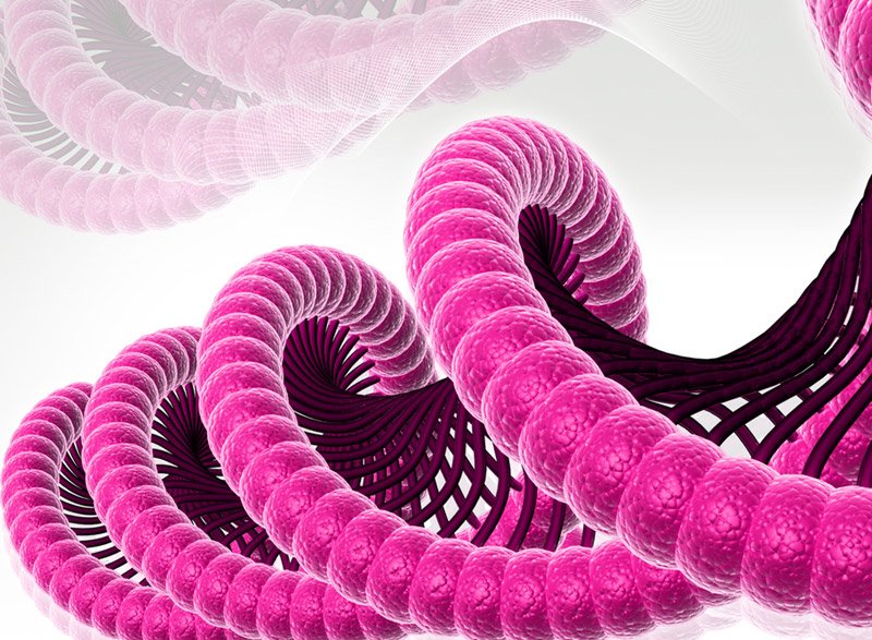 Znanstveniki so posodobili zemljevid človeškega genoma - Aktualno ...