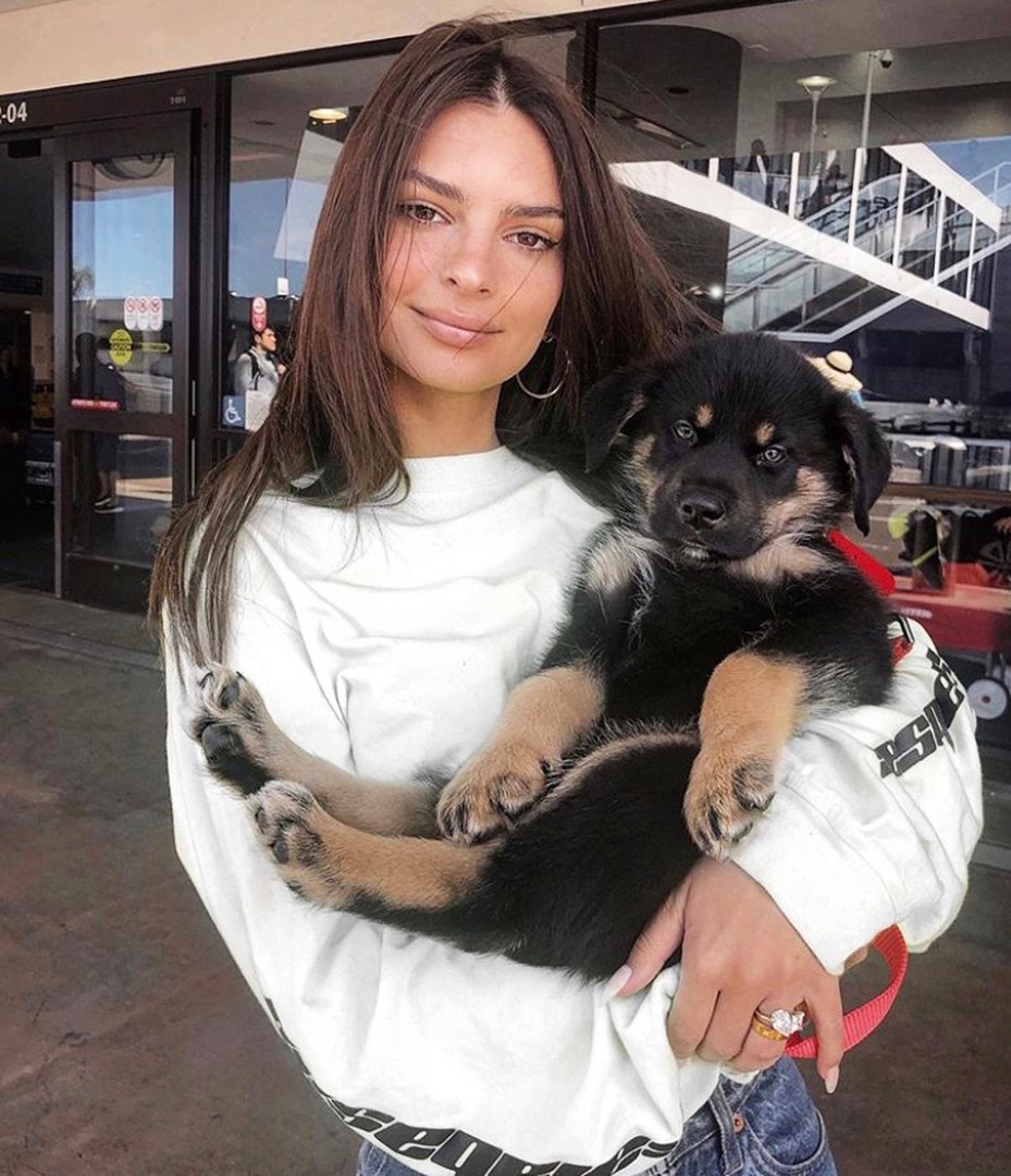 Tudi tebi pes večkrat poliže dlan, pa ne veš točno, kaj to pomeni ...