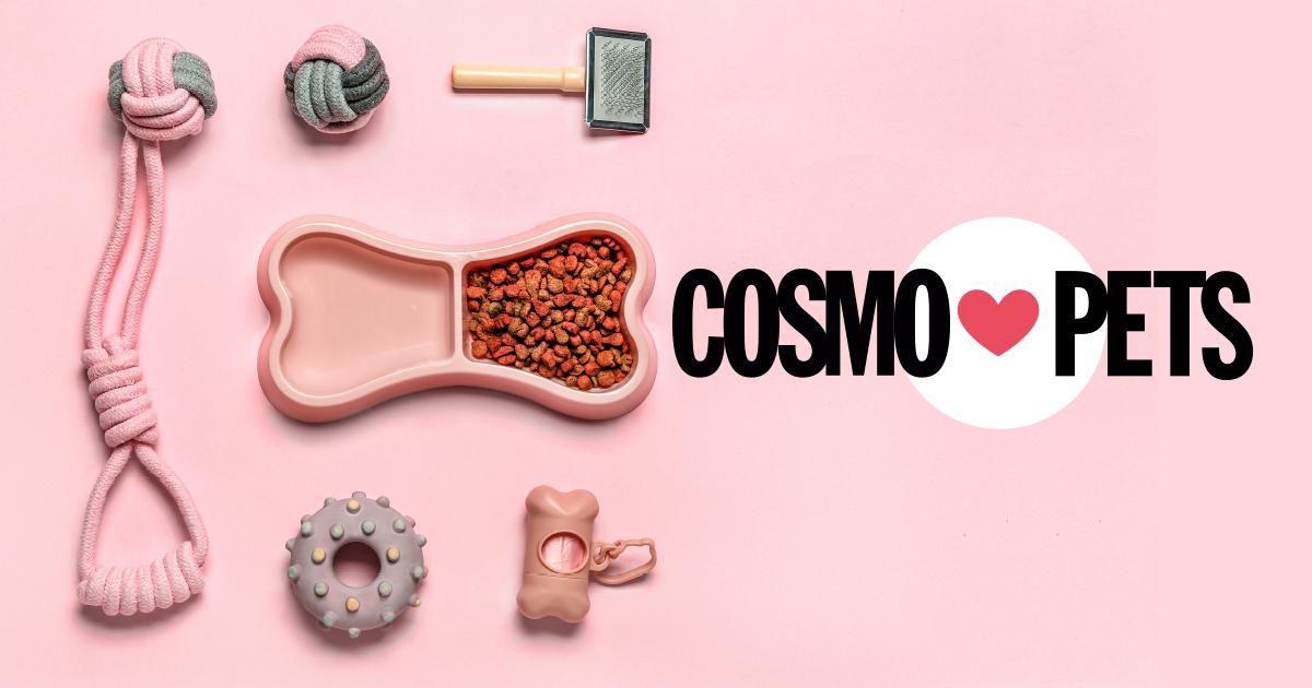 Cosmo ️ pets - Cosmopolitan.si