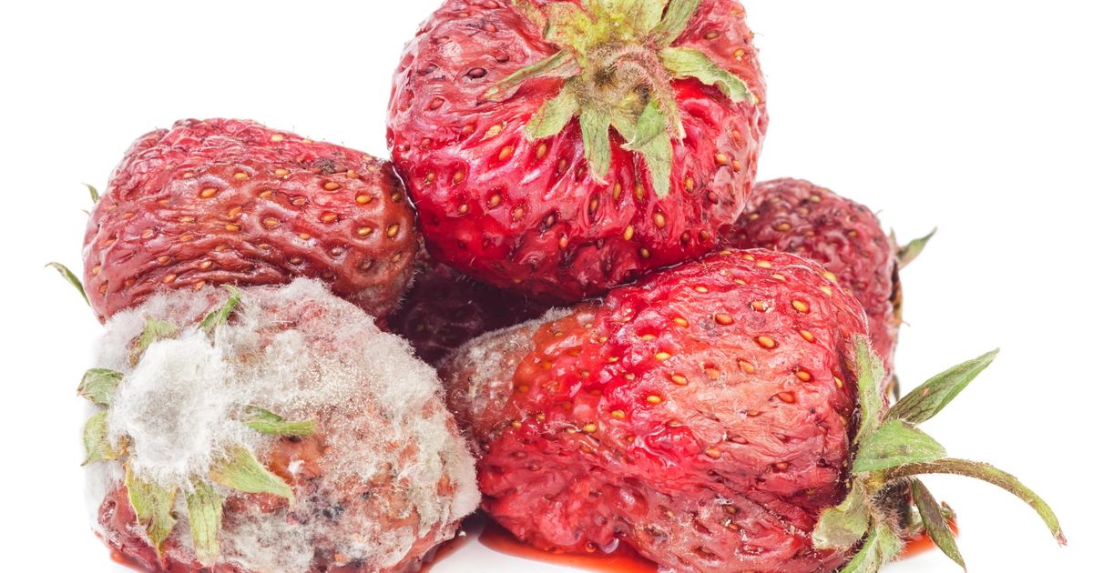 V pakiranju sadja ste našli plesnivo jagodo - ali morate zavreči ...