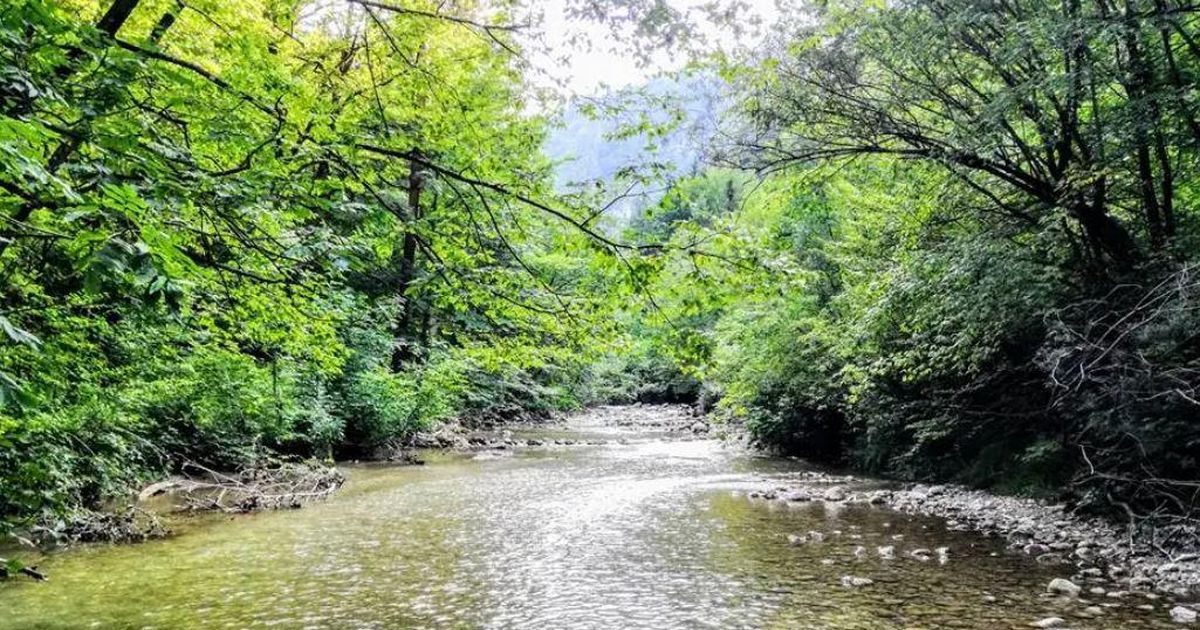 Pobeg iz pregretega betona brez kolon: Že poznaš osvežitev v skriti ...