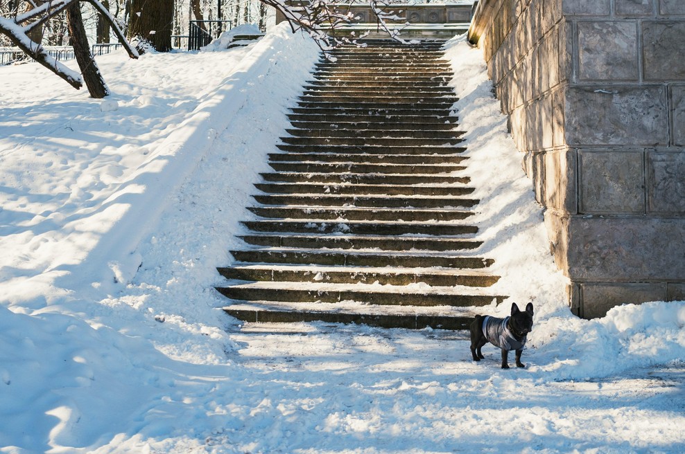 Ne s soljo - da bo led na stopnišču v hipu izginil, uporabite poceni ...
